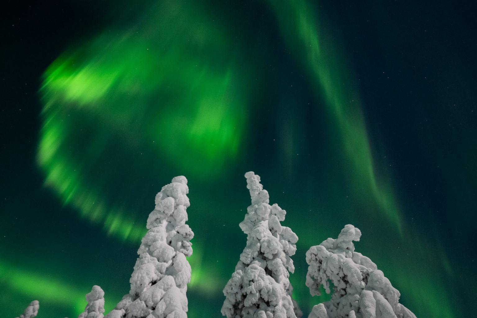 Winter Activities in Ranua - Arctic Guesthouse & Igloos