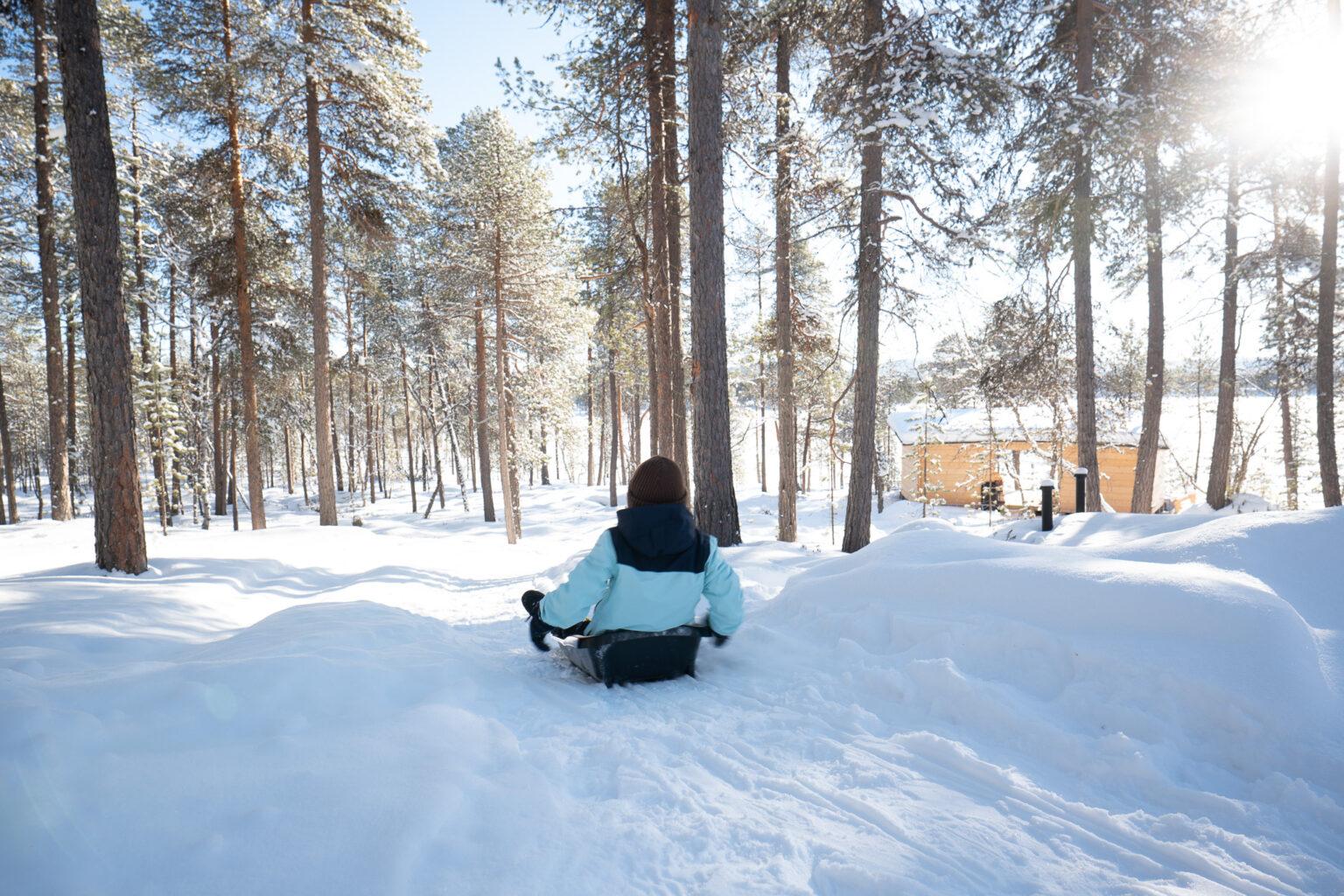Winter Activities in Ranua - Arctic Guesthouse & Igloos