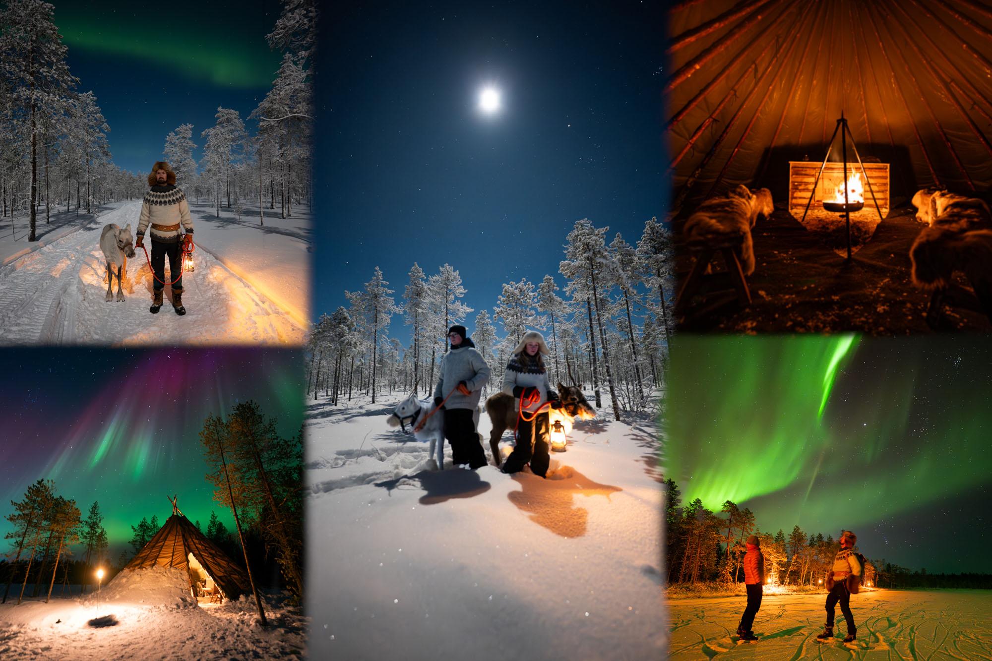 Winter Activities in Ranua - Arctic Guesthouse & Igloos